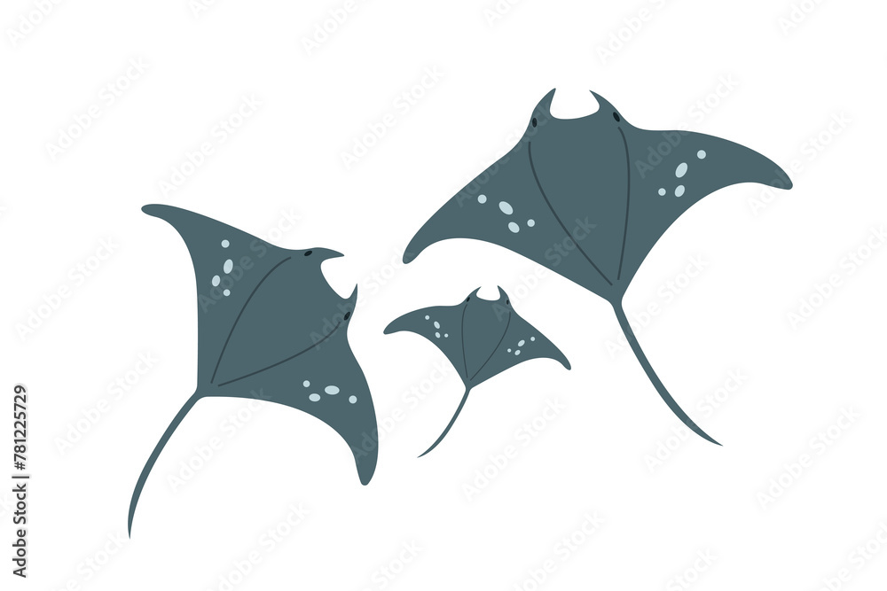 Vector flat illustration isolated on white background, sea animals ...