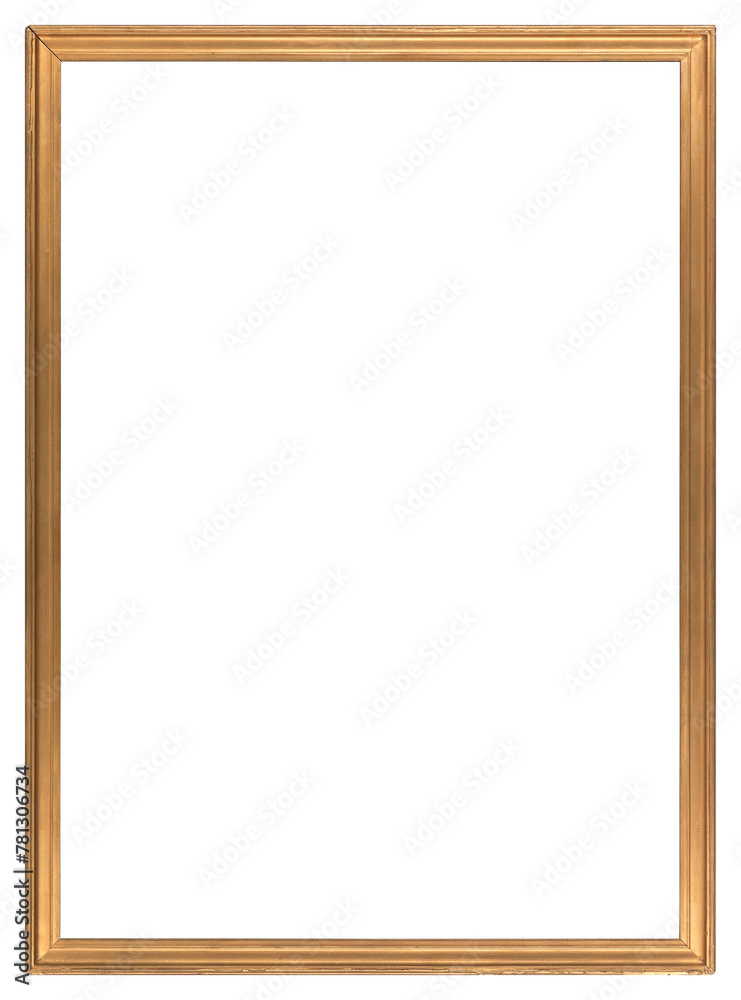 Narrow large picture frame on a transparent background, in PNG format ...