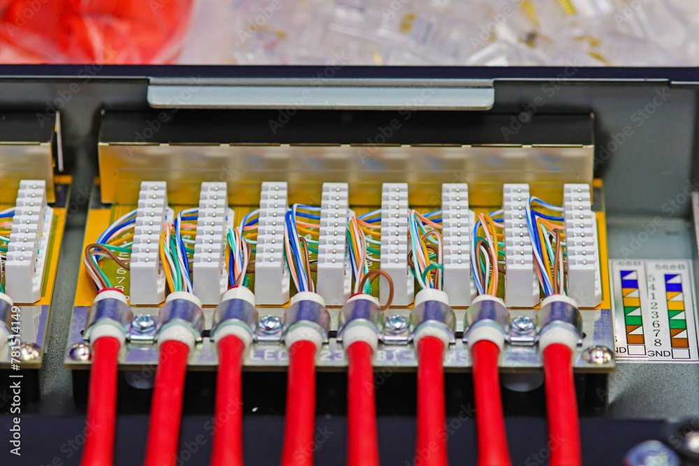Patch panel with connected twisted pair wires. To connect an Ethernet ...