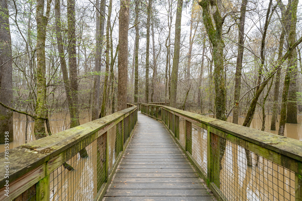 Congaree National Park Elevated Boardwalk, flooded swamp. Columbia ...
