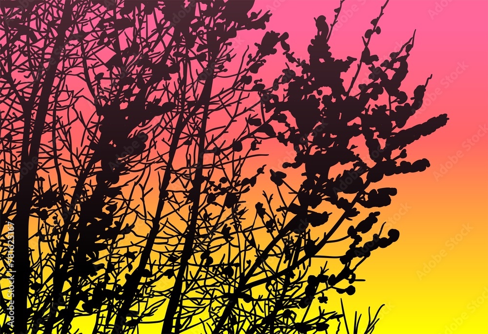 silueta arbol, arbusto, hojas, ramas, otoño, ilustracion, bosques ...