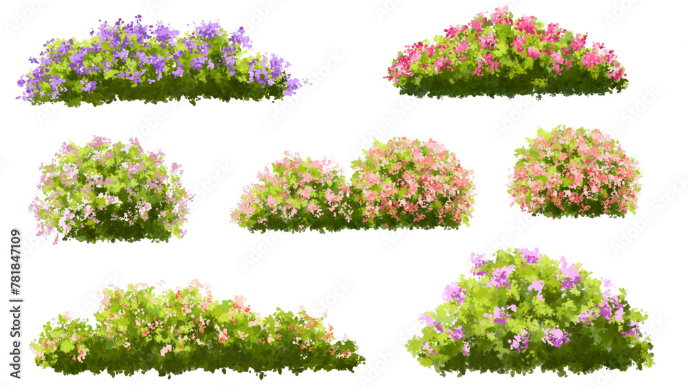 Vector watercolor blooming flower tree or forest side view isolated on ...