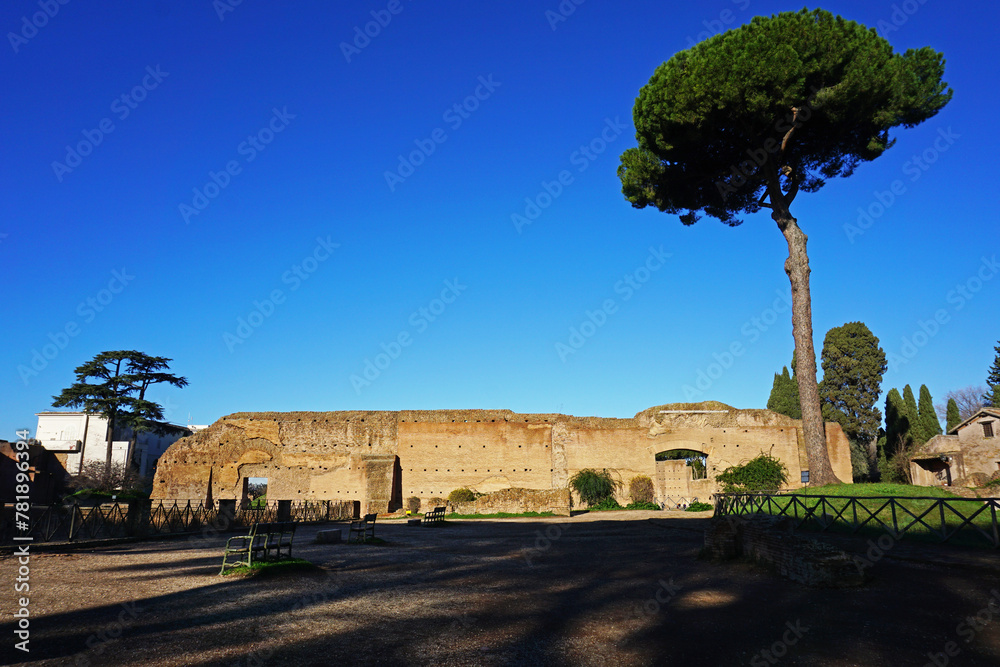 Exterior architecture and design of The Roman forum (Forum Romanum ...