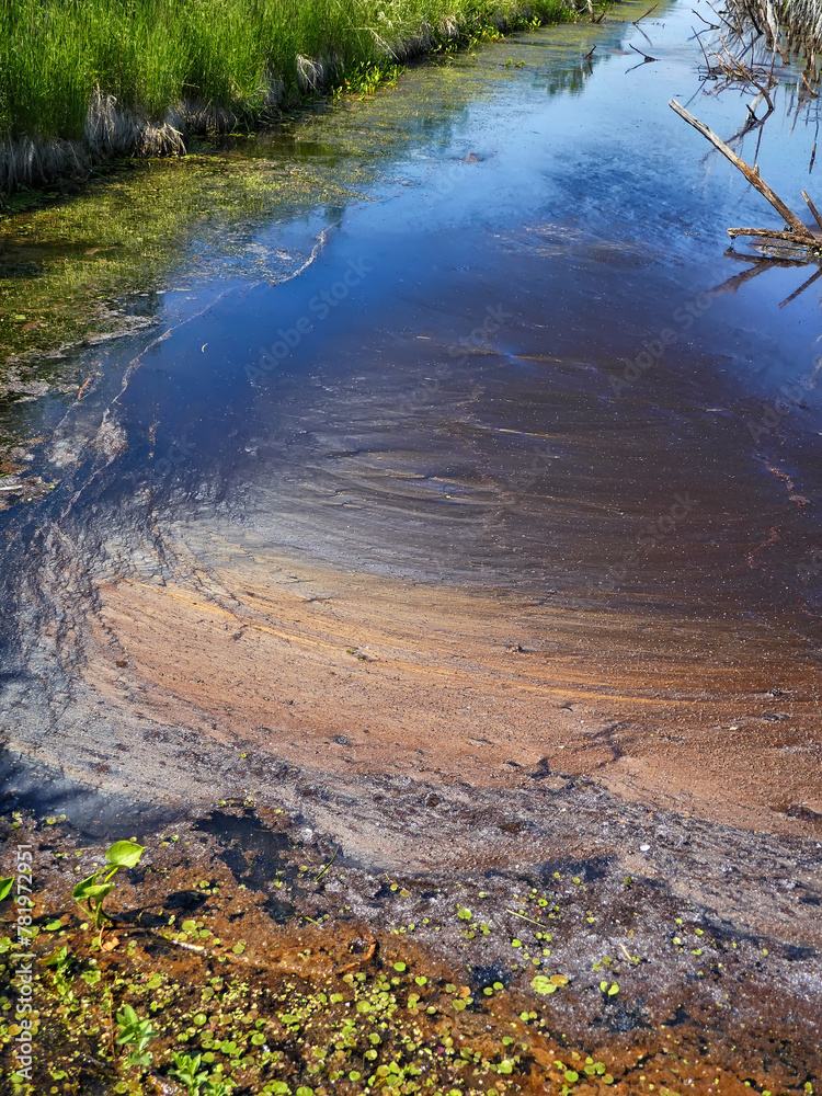Heavily polluted water, surface biofilm, bacterial tuft. Blue-green ...