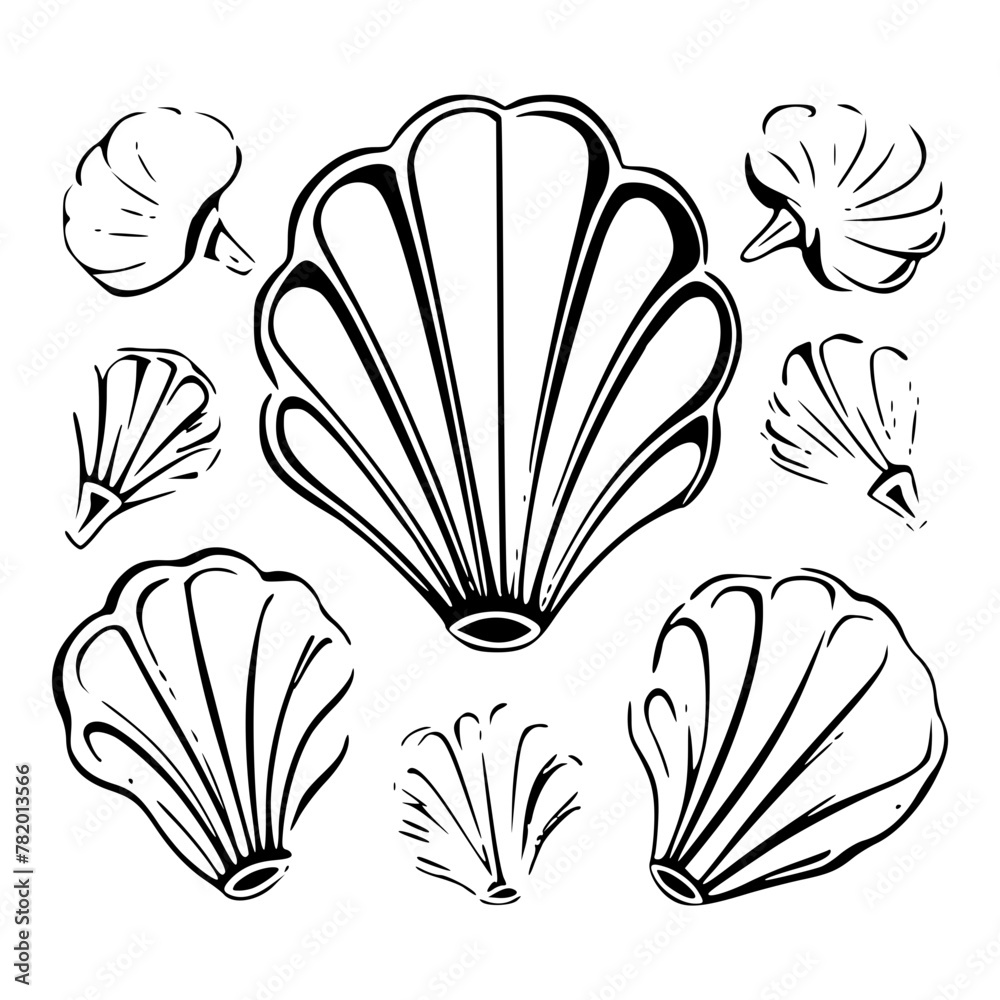 Seashells svg, Seashell svg file, Ocean svg, Marine, Clipart, Seashell ...