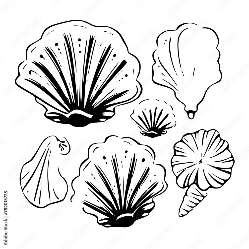 Seashells svg, Seashell svg file, Ocean svg, Marine, Clipart, Seashell ...