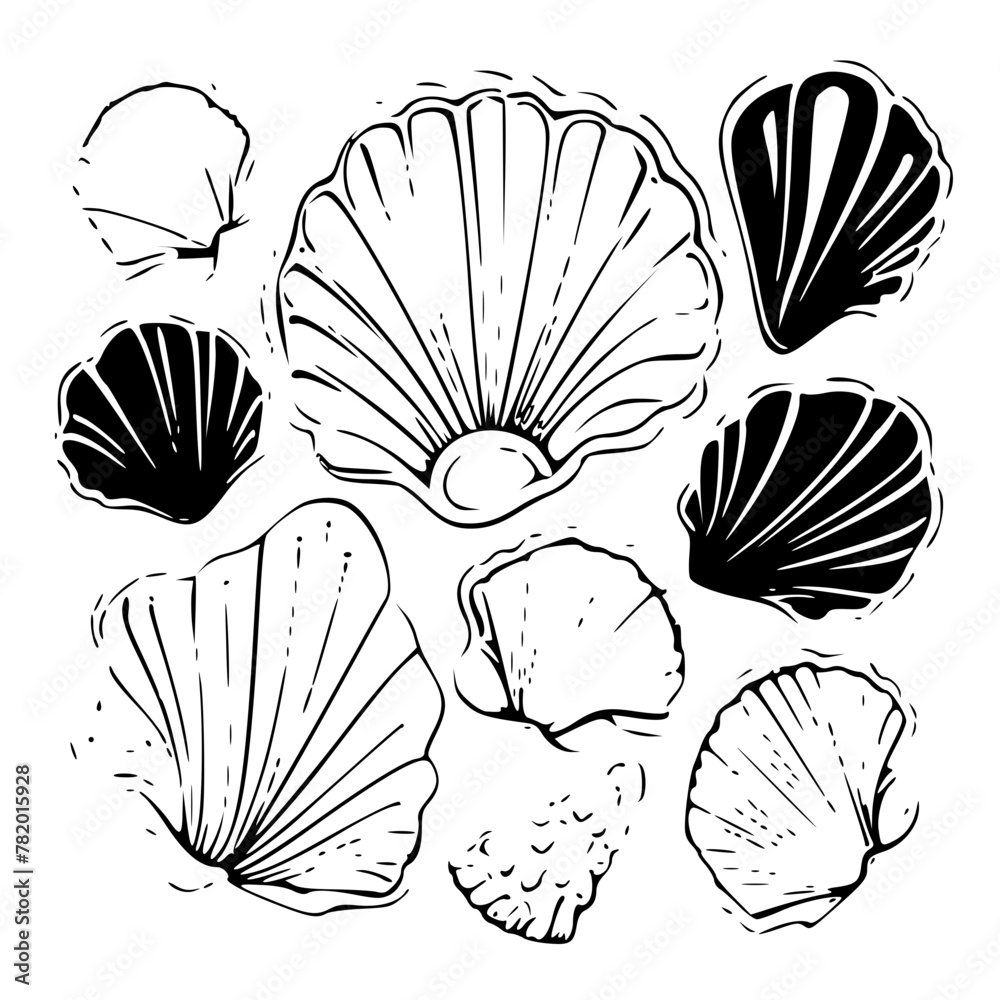 Seashells svg, Seashell svg file, Ocean svg, Marine, Clipart, Seashell ...