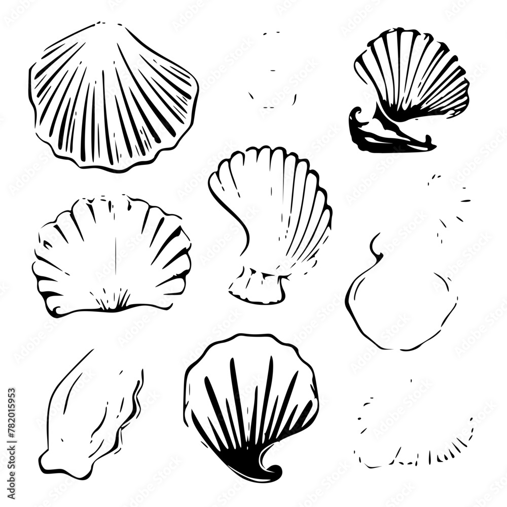 Seashells svg, Seashell svg file, Ocean svg, Marine, Clipart, Seashell ...