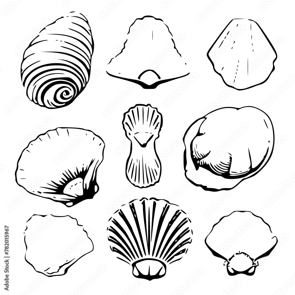 Seashells svg, Seashell svg file, Ocean svg, Marine, Clipart, Seashell ...