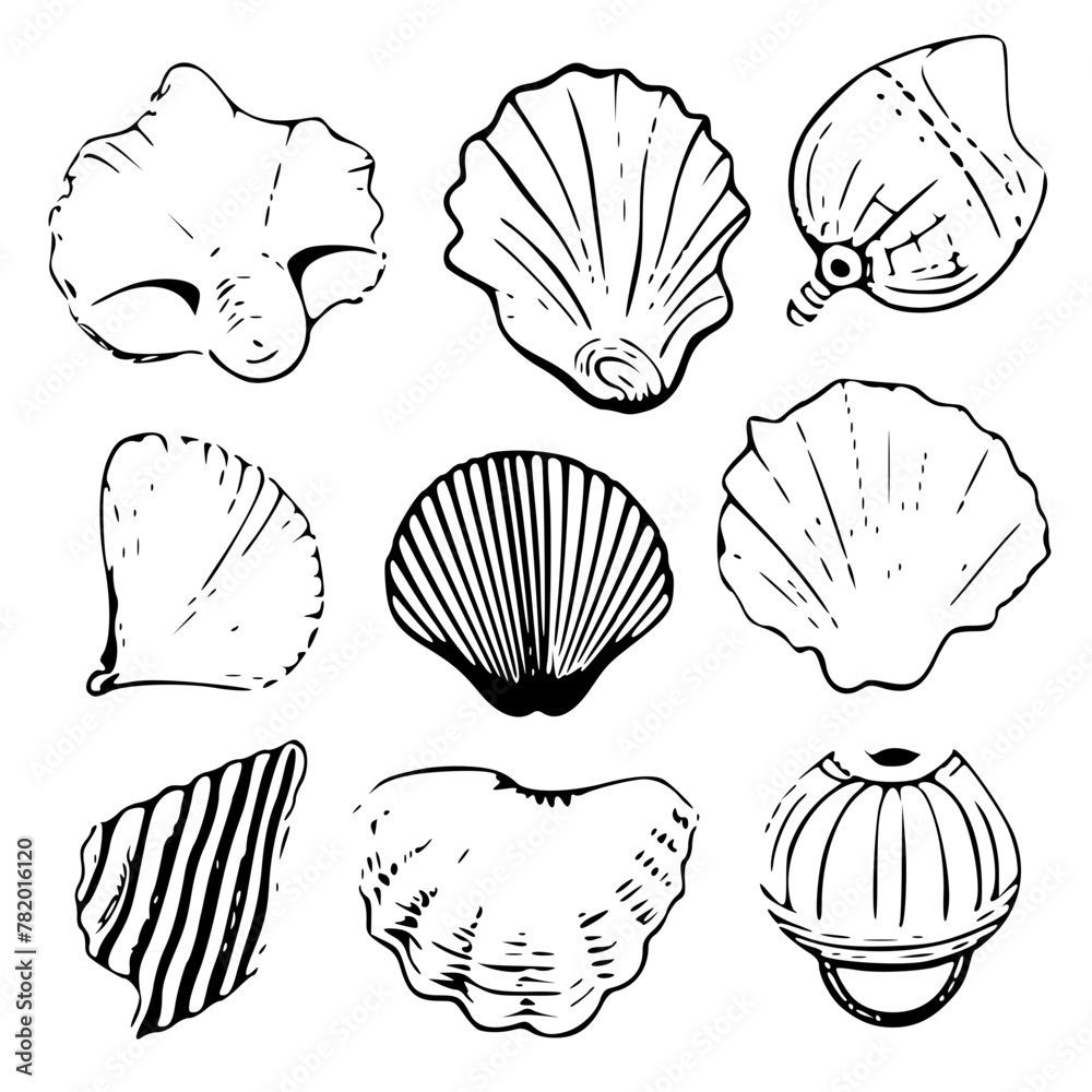 Seashells svg, Seashell svg file, Ocean svg, Marine, Clipart, Seashell ...