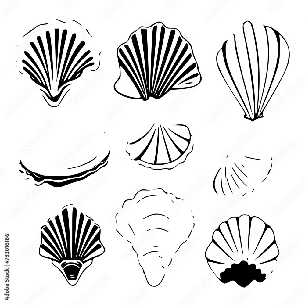 Seashells svg, Seashell svg file, Ocean svg, Marine, Clipart, Seashell ...