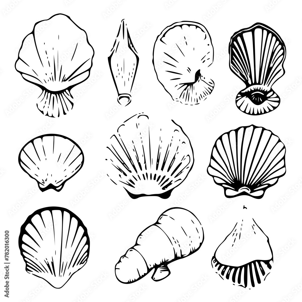 Seashells svg, Seashell svg file, Ocean svg, Marine, Clipart, Seashell ...