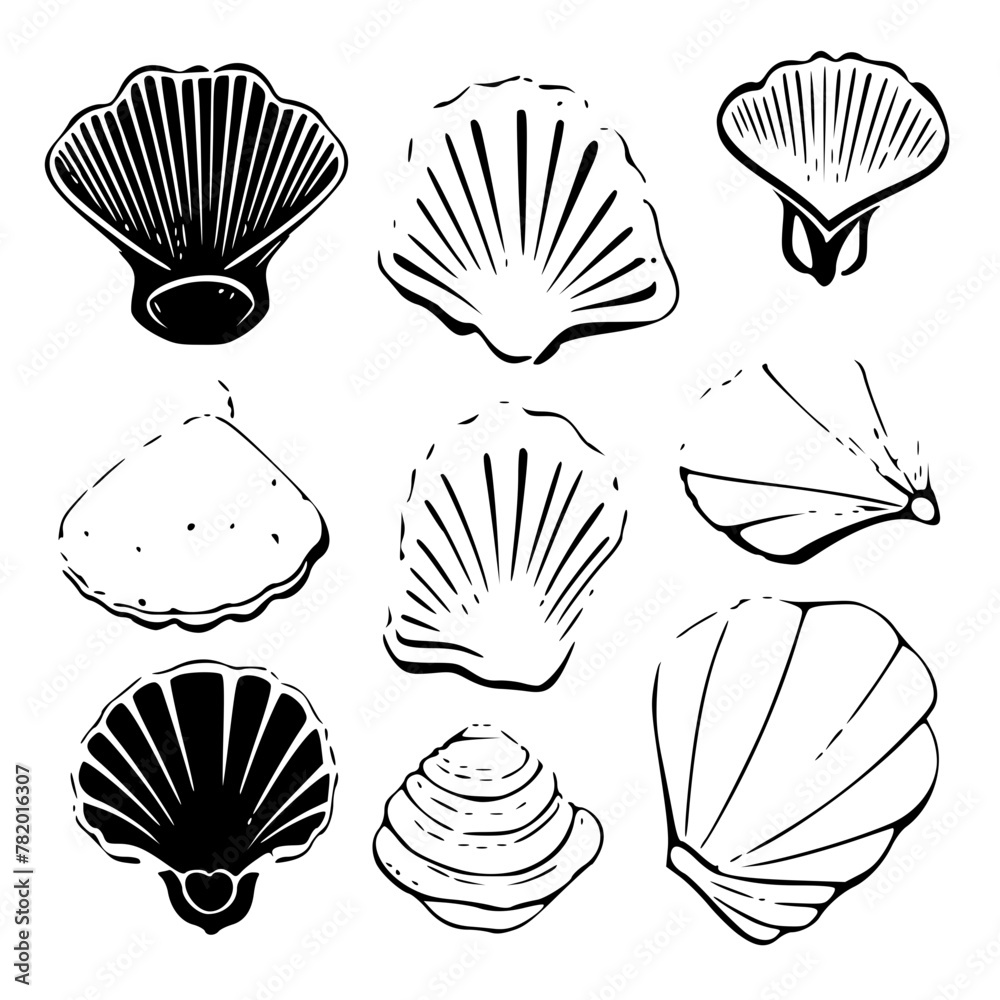 Seashells svg, Seashell svg file, Ocean svg, Marine, Clipart, Seashell ...