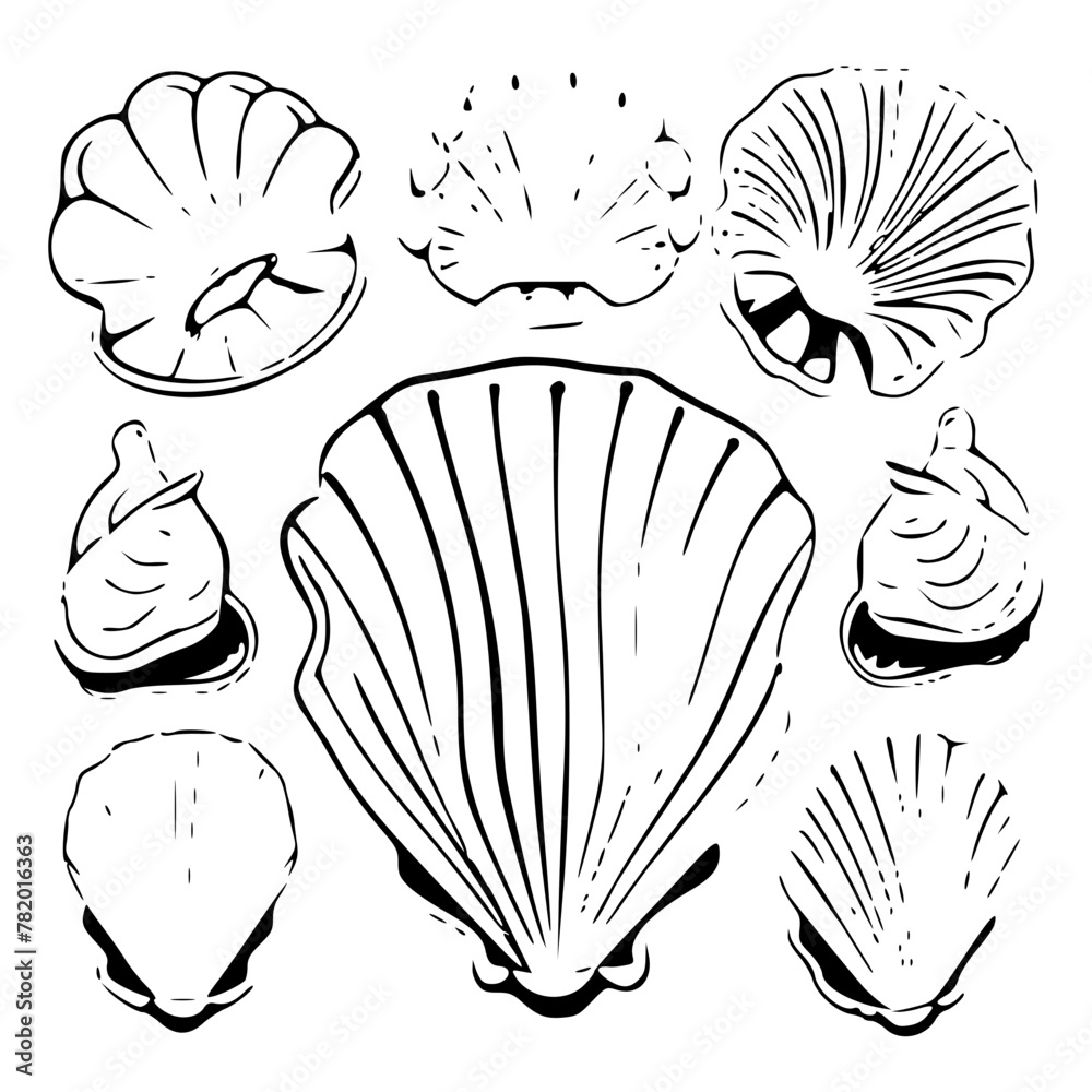 Seashells svg, Seashell svg file, Ocean svg, Marine, Clipart, Seashell ...