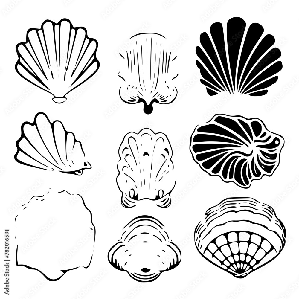 Seashells svg, Seashell svg file, Ocean svg, Marine, Clipart, Seashell ...