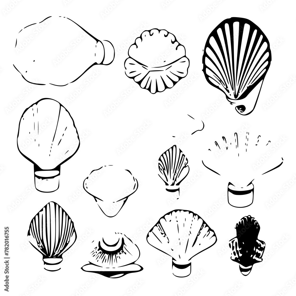 Seashells Svg Seashell Svg File Ocean Svg Marine Clipart Seashell Svg Seashell Outline Svg