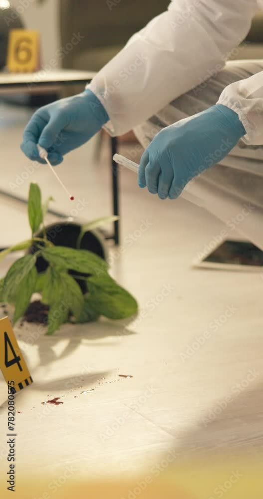 Person, forensic and blood swab in home crime scene for dna of victim ...