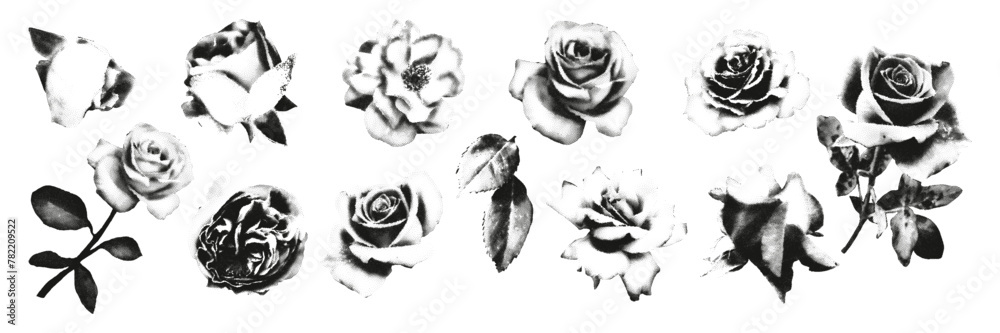Roses trendy elements with retro photocopy effect. Vintage grunge ...