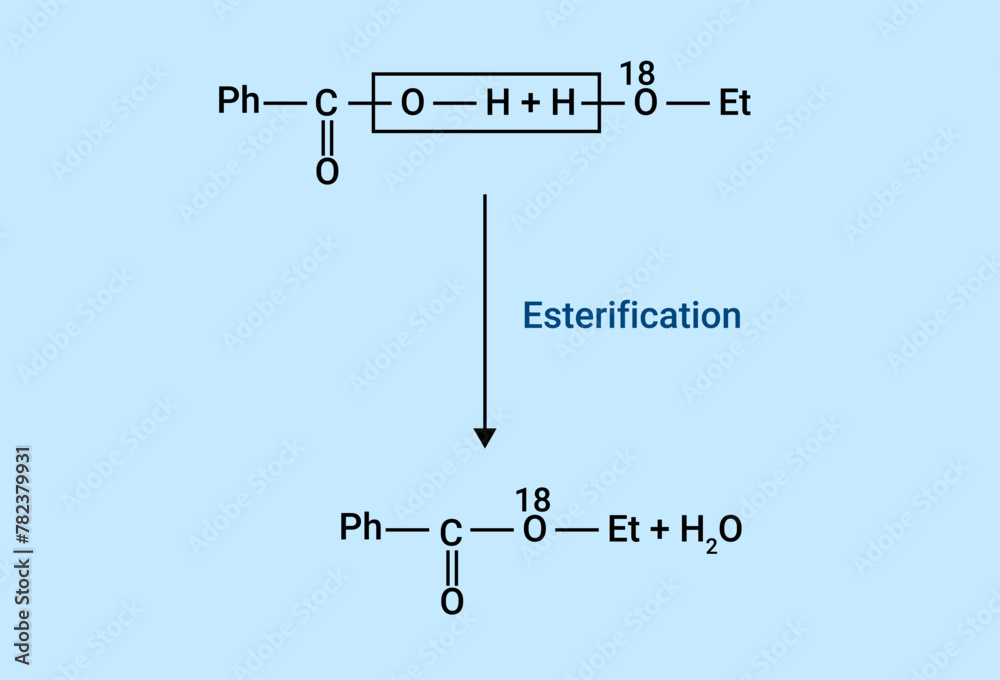 Esterification is the process of combining an organic acid (RCOOH) with ...