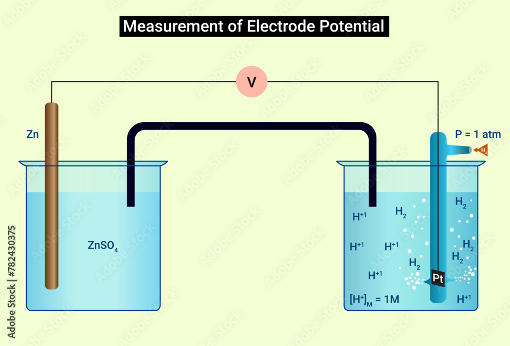 Measurement of Electrode Potential - Chemistry Stock Vector | Adobe Stock