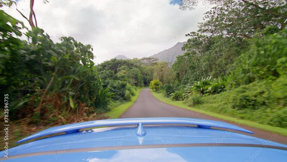 Looking back riding in convertible blue car by lush green tropical ...