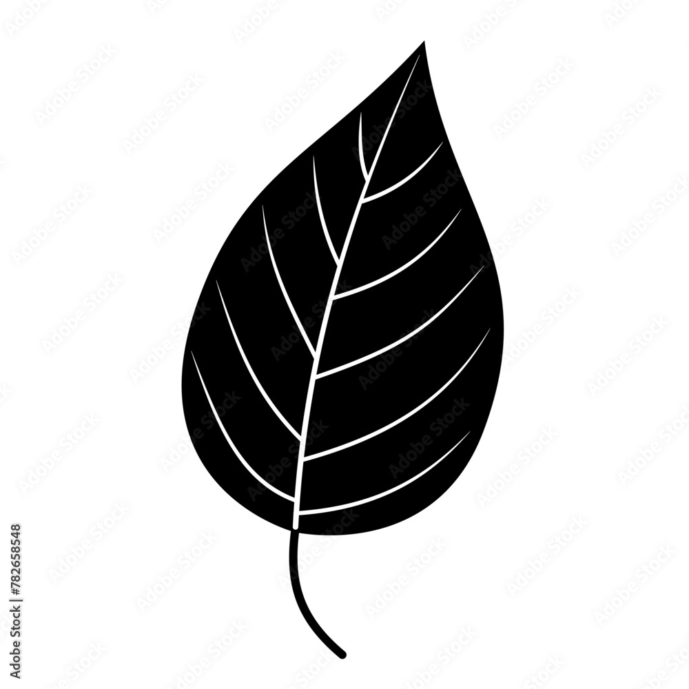 Aspen tree leaf silhouette isolated cutout black and white monochrome ...