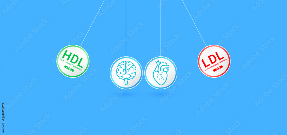 High density lipoprotein good HDL and Low density lipoprotein bad LDL ...