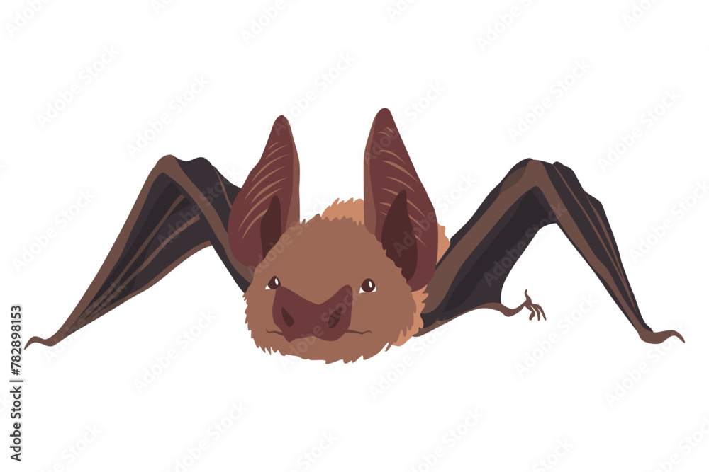 Bat. Concept cartoon bat. Vector clipart illustration isolated on white ...