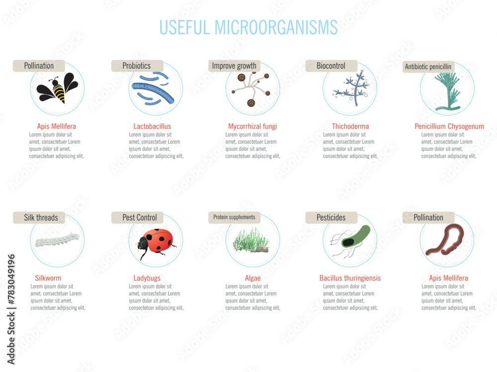 A collection of images of various microorganisms. The images are ...