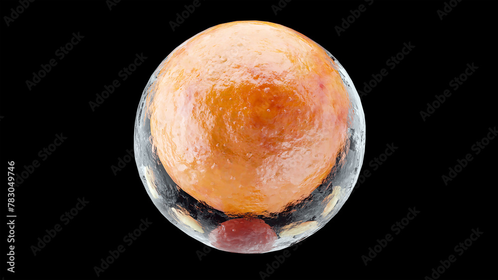 Fat cell isolated, white adipocyte and lipocyte, cholesterol in a cells ...