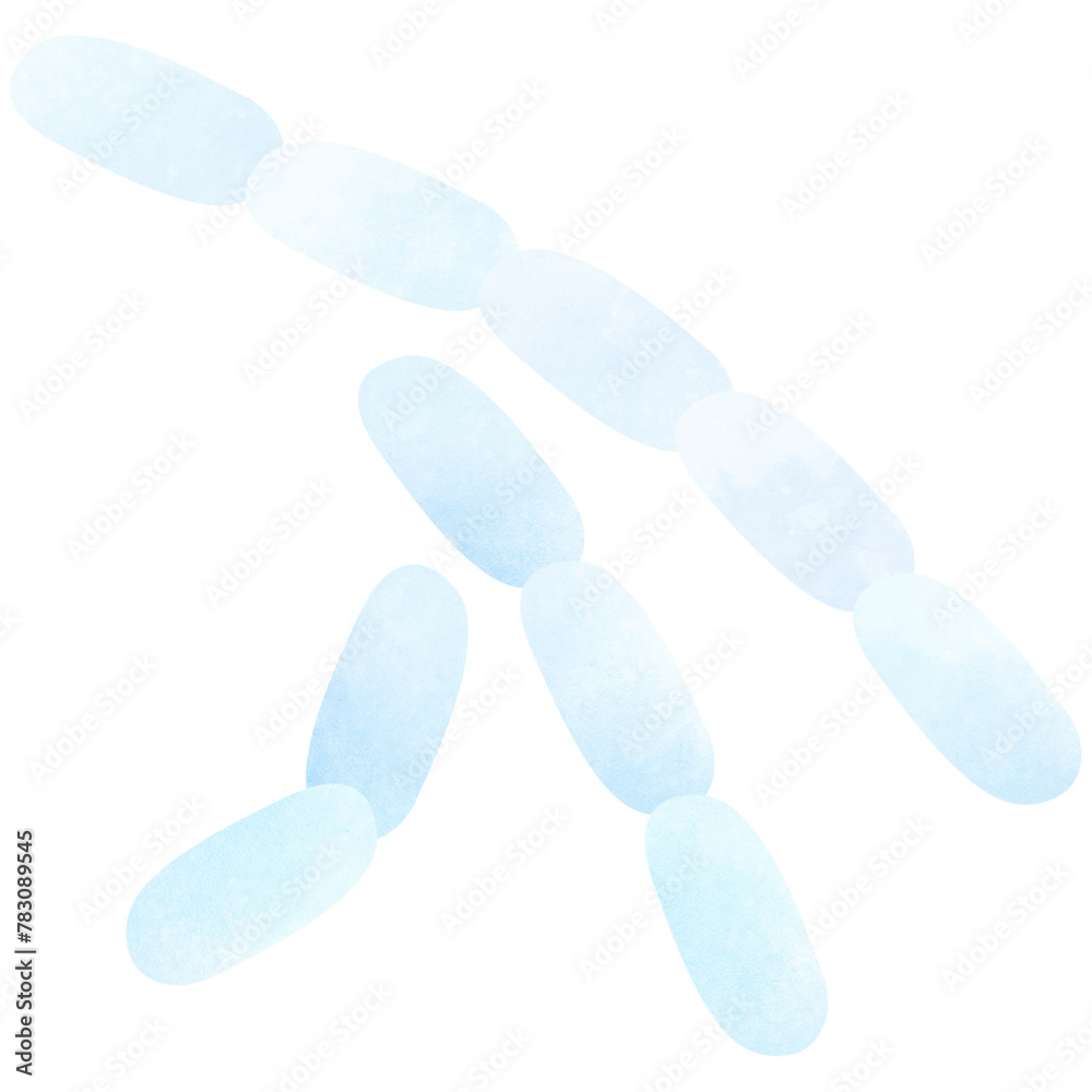 Chain of Bacilli Bacillus Anthracis Bacteria Stock Illustration | Adobe ...