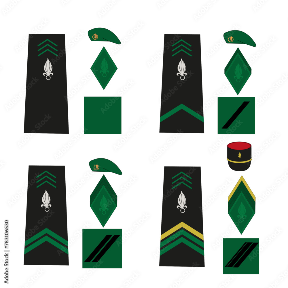 Poster Ensemble de galon de l'armée de terre française, légion ...