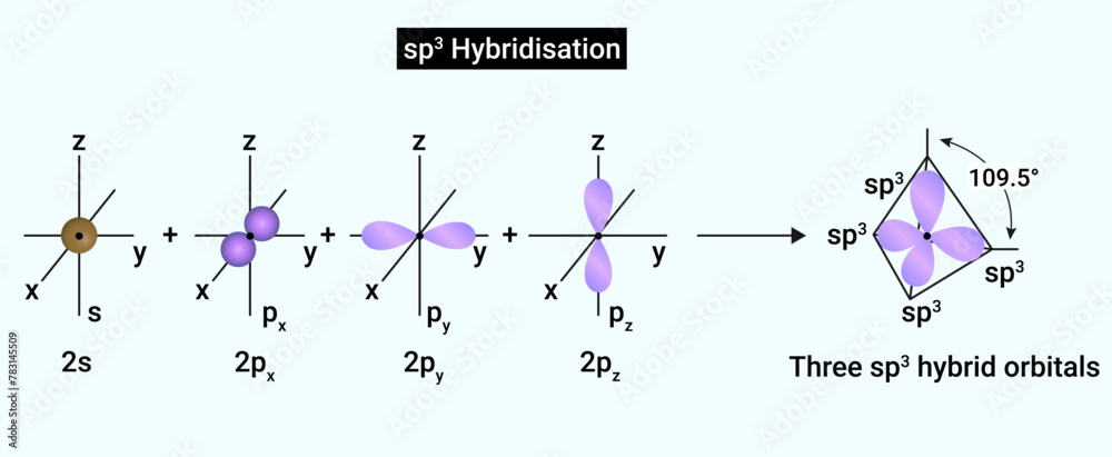 Vetor de sp3 Hybridisation: One s and three p orbitals of an atom of a ...