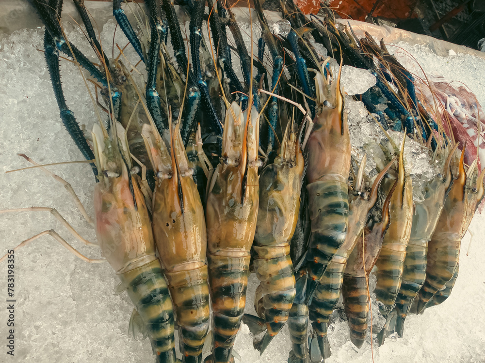 Overhead view of Giant Tiger Prawns or Penaeus monodon kept fresh on a ...