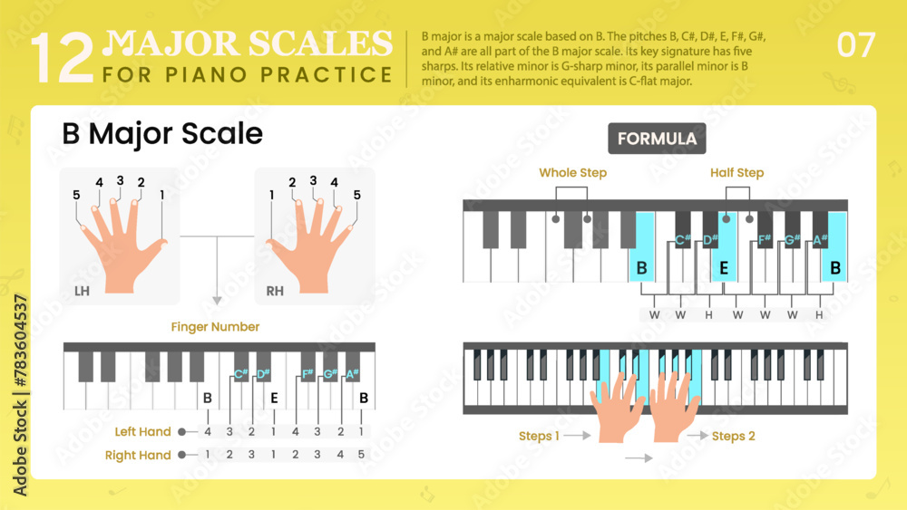 B Major Scale Visual Guide Essential Music Theory for Piano Stock ...