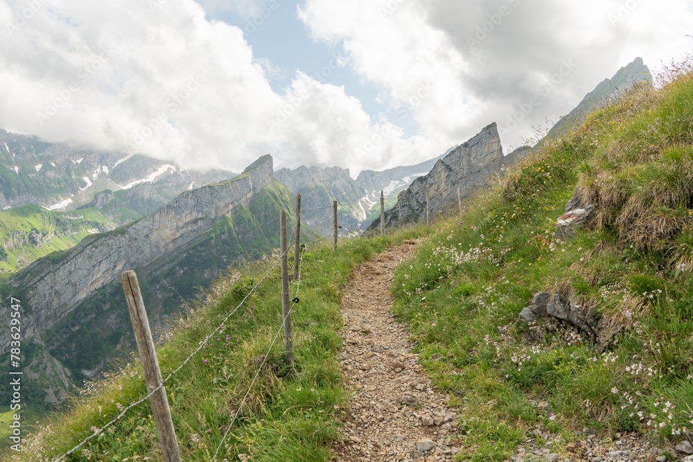 Summer view on a cloudy day of a hiking trail on a grassy alpine slope ...