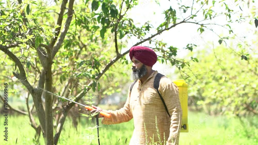 Village india, Indian punjab sikh farmer spraying ecological pesticides ...
