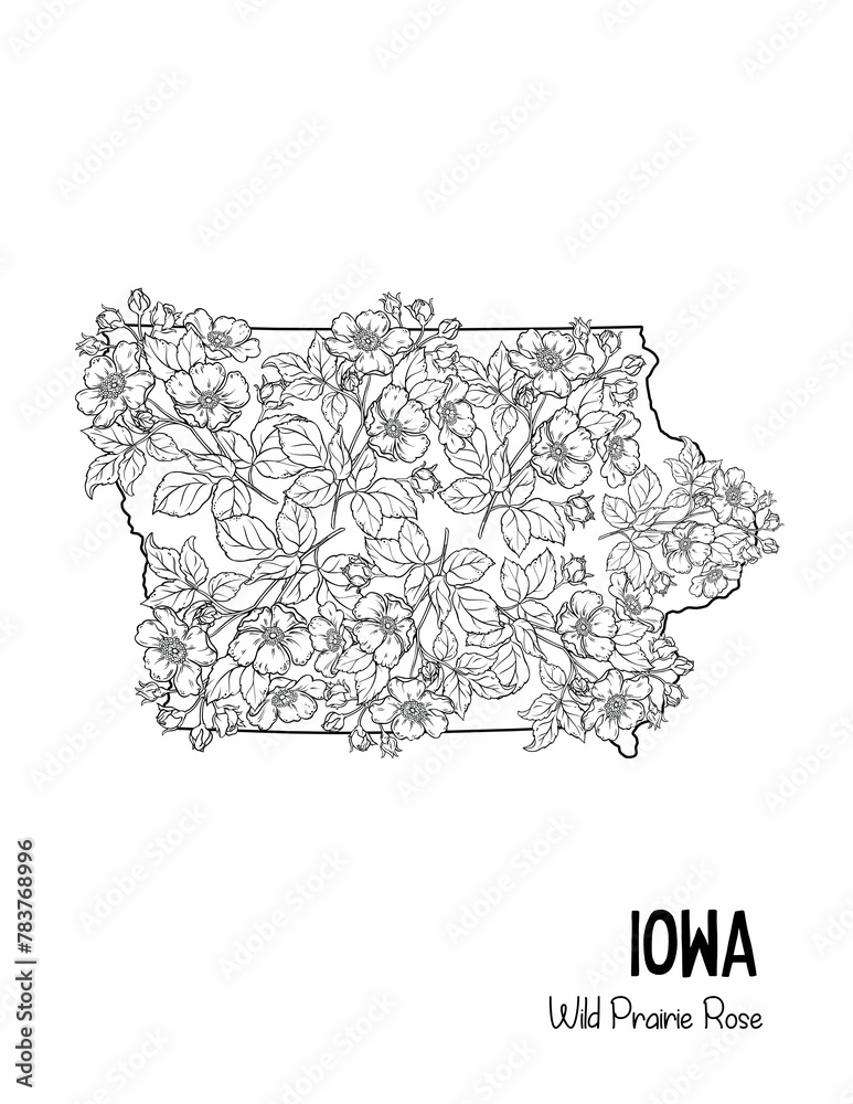 ภาพประกอบสต็อก State Coloring Page, Iowa coloring page, Flowers, State ...