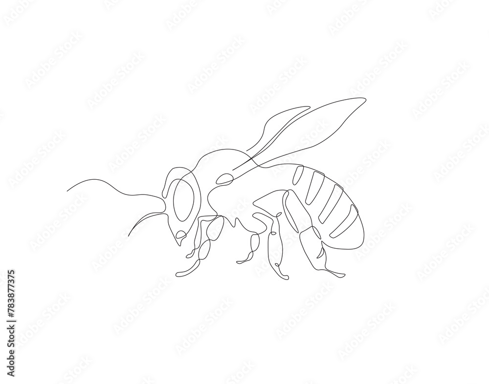 Continuous line drawing of bee. One line of flying bee. Flying insects ...