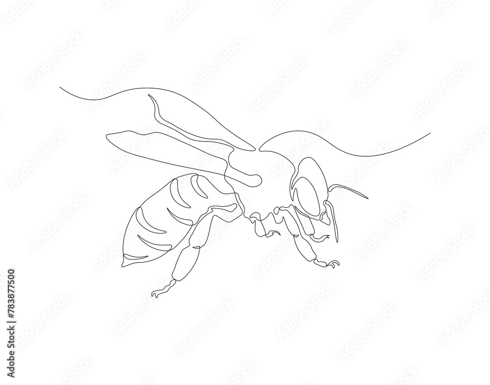 Continuous line drawing of bee. One line of flying bee. Flying insects ...