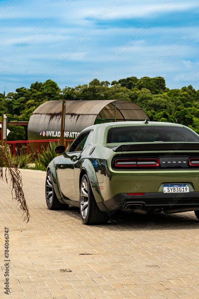 Green Dodge Challenger Hellcat Widebody rear end view, American muscle ...