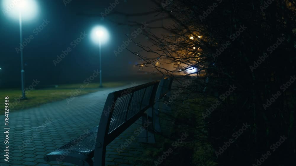 Chilling Parkscape: Traverse a chilling landscape as the park ...