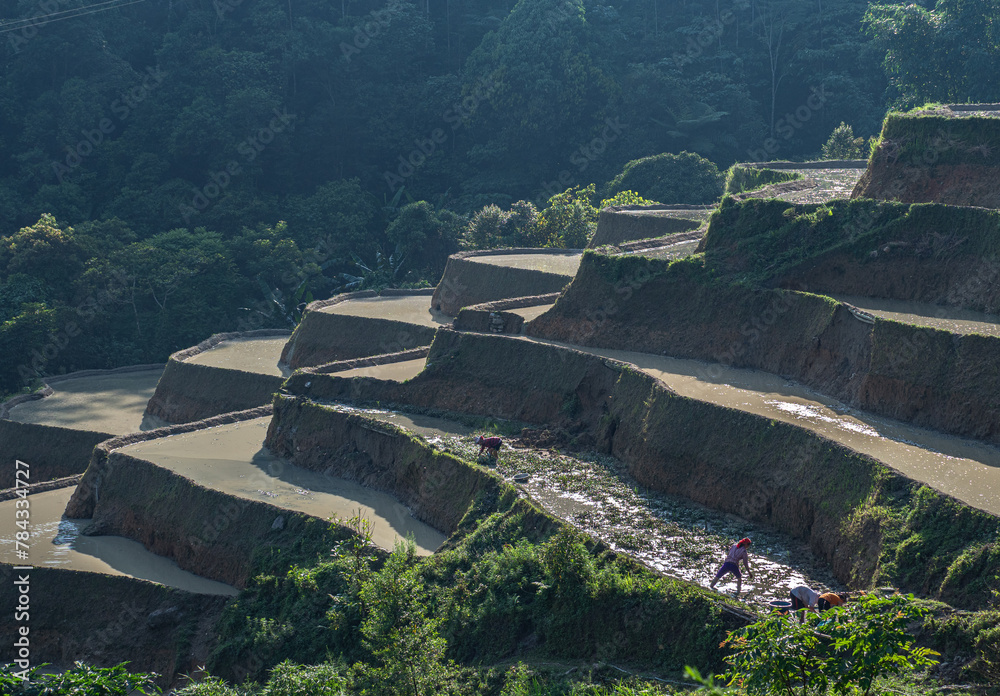 Coming to Hoang Su Phi in the rainy season, you can freely see the soft ...