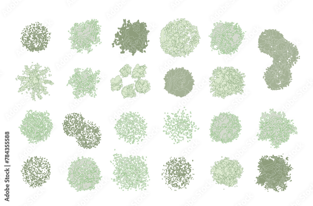 Poster Vector tree top view isolated on white background for landscape ...