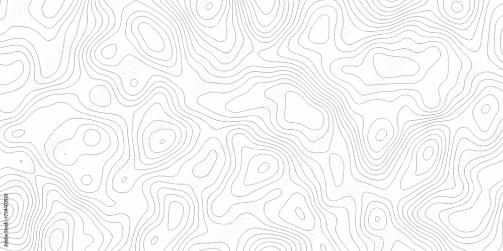 Vector geography landscape Topo contour map on white background ...