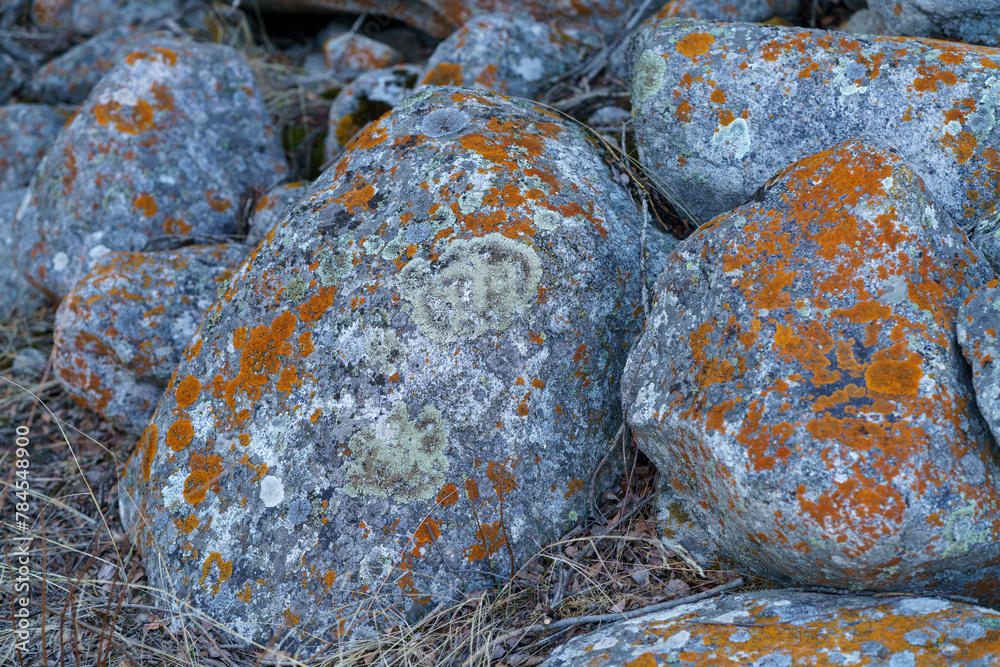 Textured patterns on round gray granite stones covered with green and ...