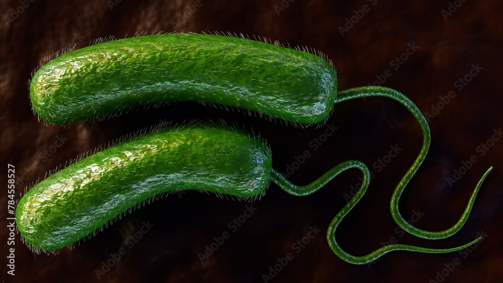 3D rendering of Vibrio vulnificus, is a bacterium that causes ...