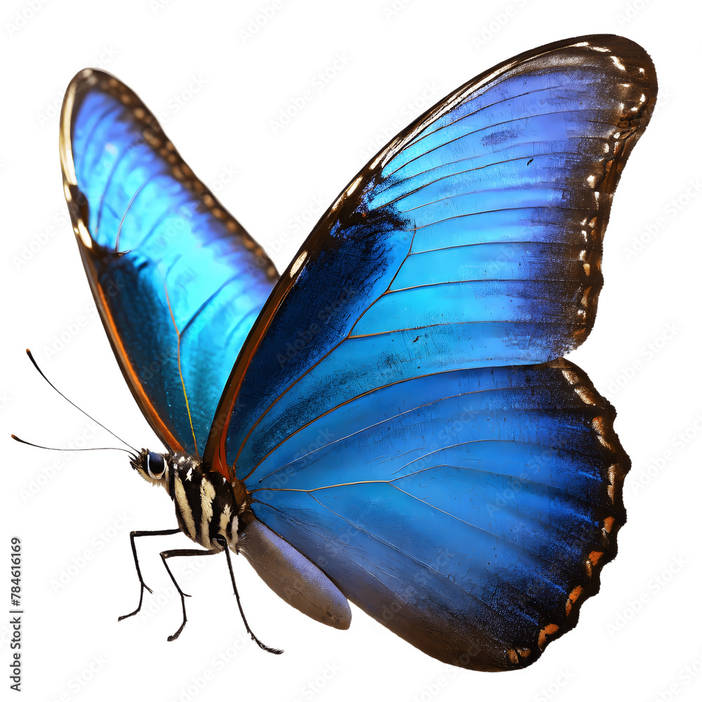 Stunning blue butterfly isolated on white background, png, vibrant ...