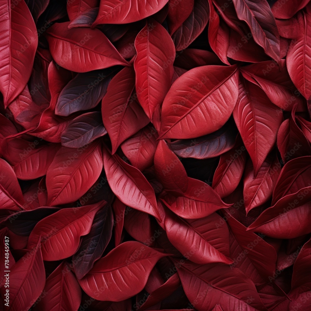 texture latte red leaves, background, dark red leaves, red leaves, red ...