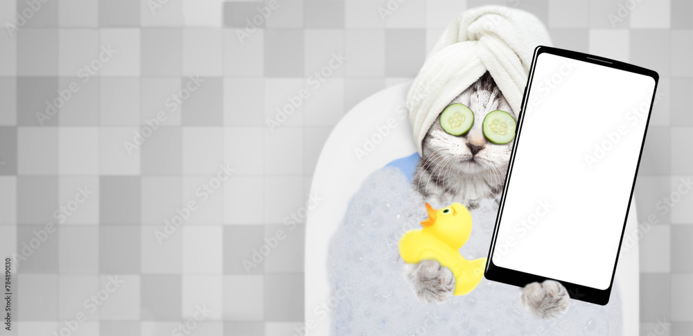 Cute kitten wearing shower cap, with cream and slice of cucumbers on it ...